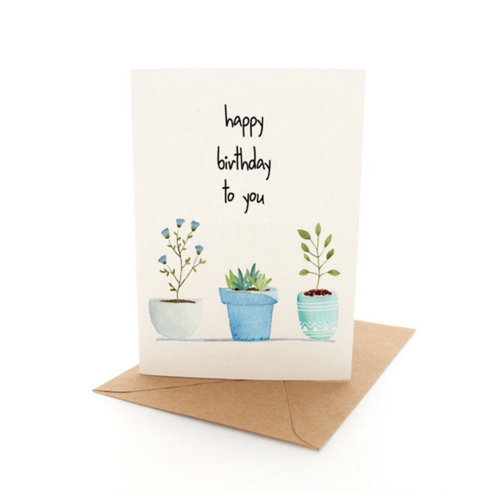 PLEASANT TREE - BIRTHDAY PLANTS – The Essential Candle Company